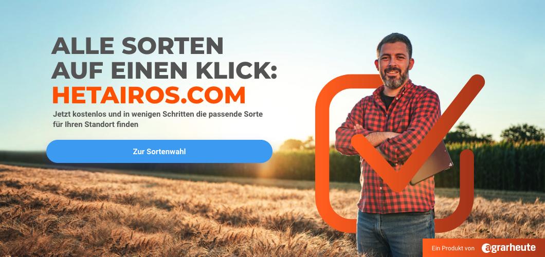 Deutsche Saatveredelung Saatgut | HETAIROS.com by agrarheute