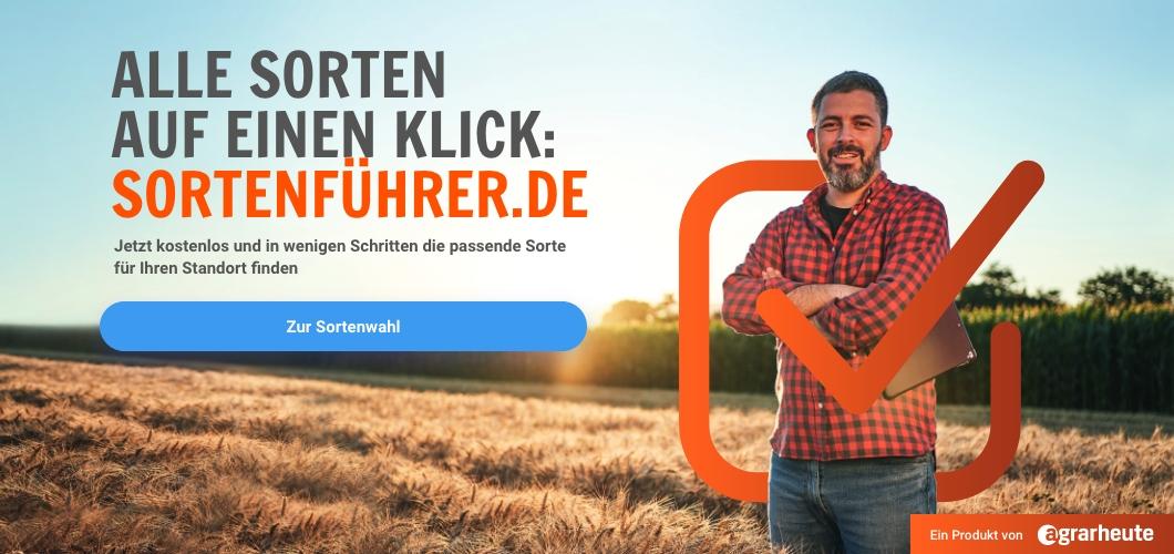 Betaseed Saatgut | HETAIROS.com by agrarheute